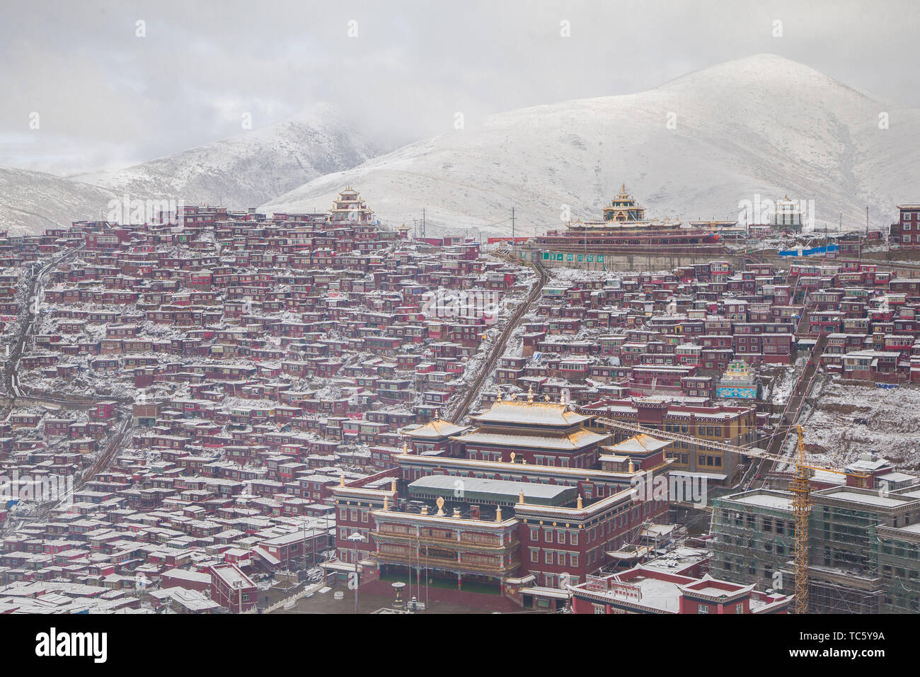 Seda wuming buddha college hi-res stock photography and images - Alamy