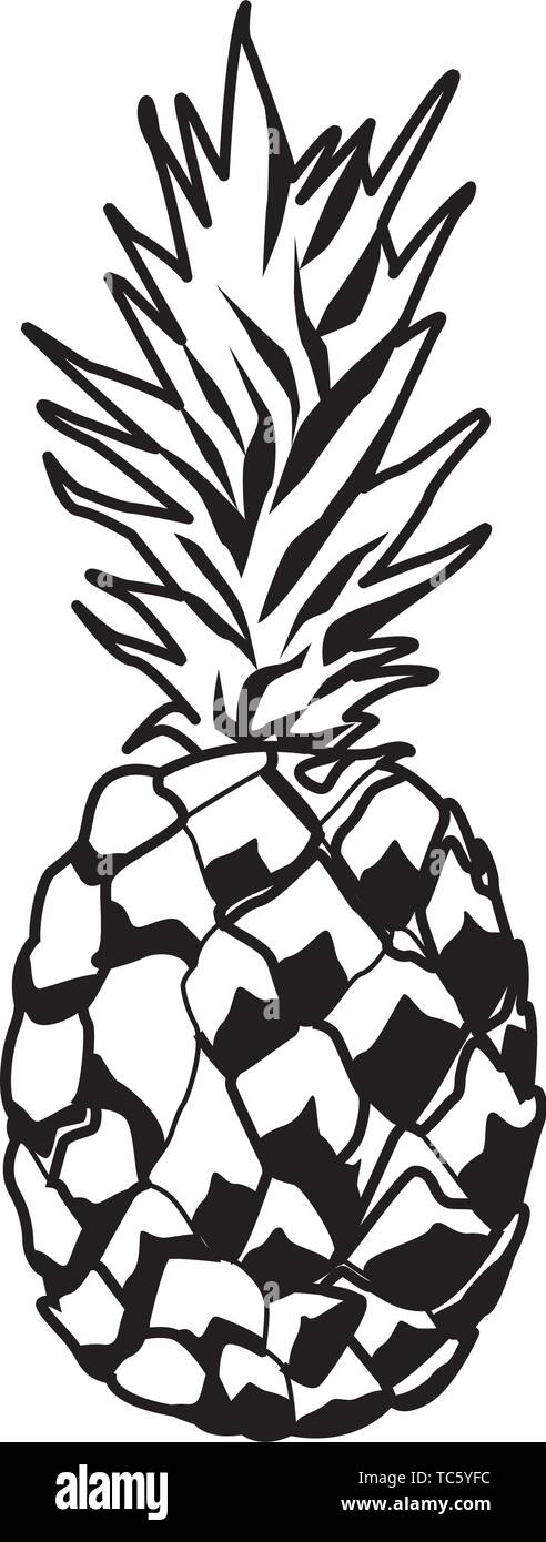 Pineapple fresh natural fruit cartoon in black and white Stock Vector ...