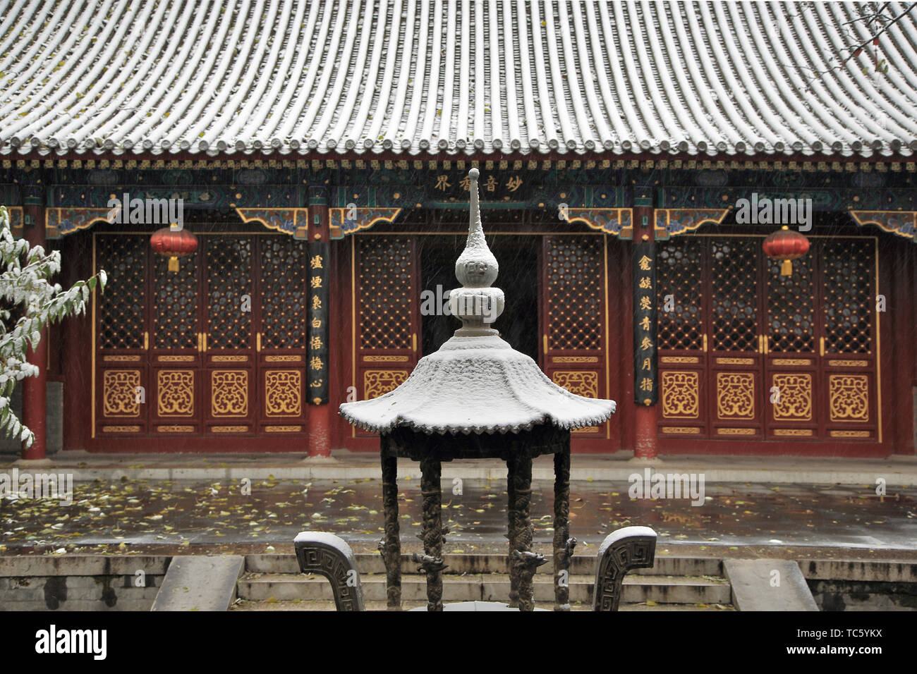 Nine of the Great View Garden of A Dream of Red Mansions: [Xiao Cui'an ...