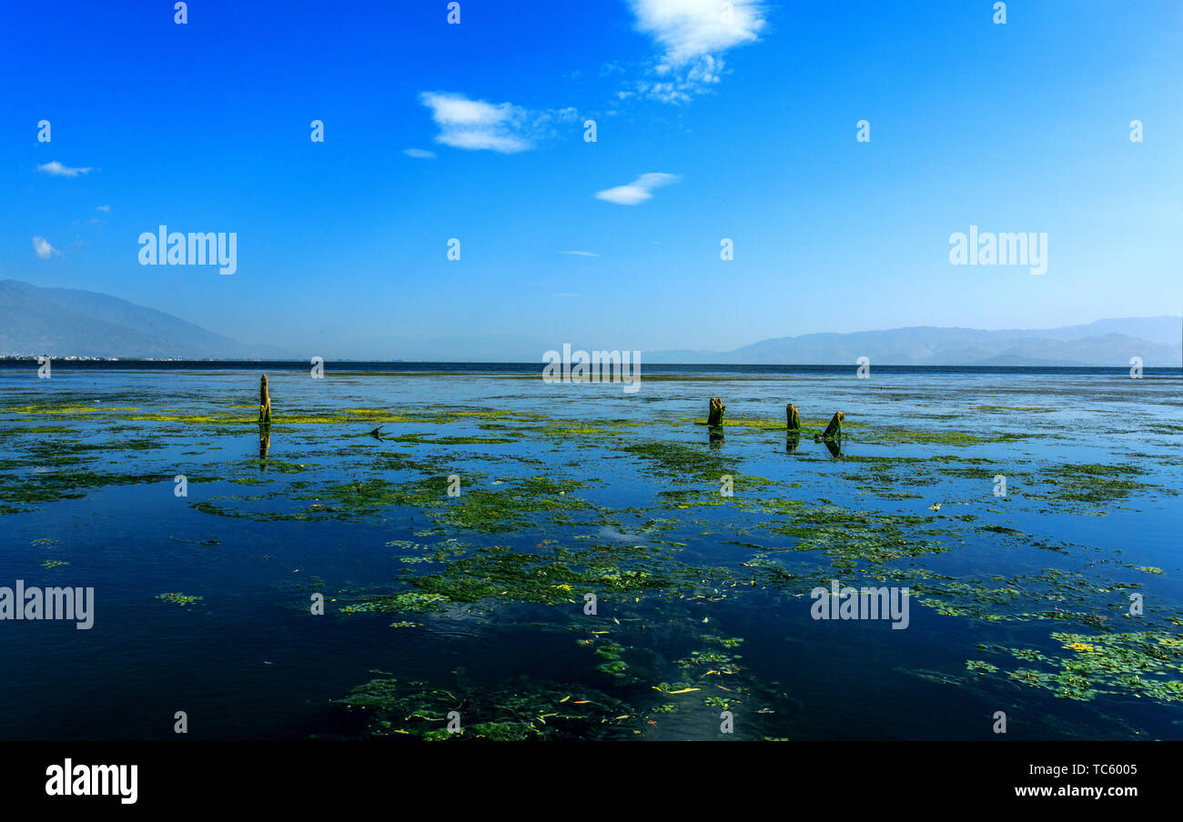 Erhai sea hi-res stock photography and images - Alamy