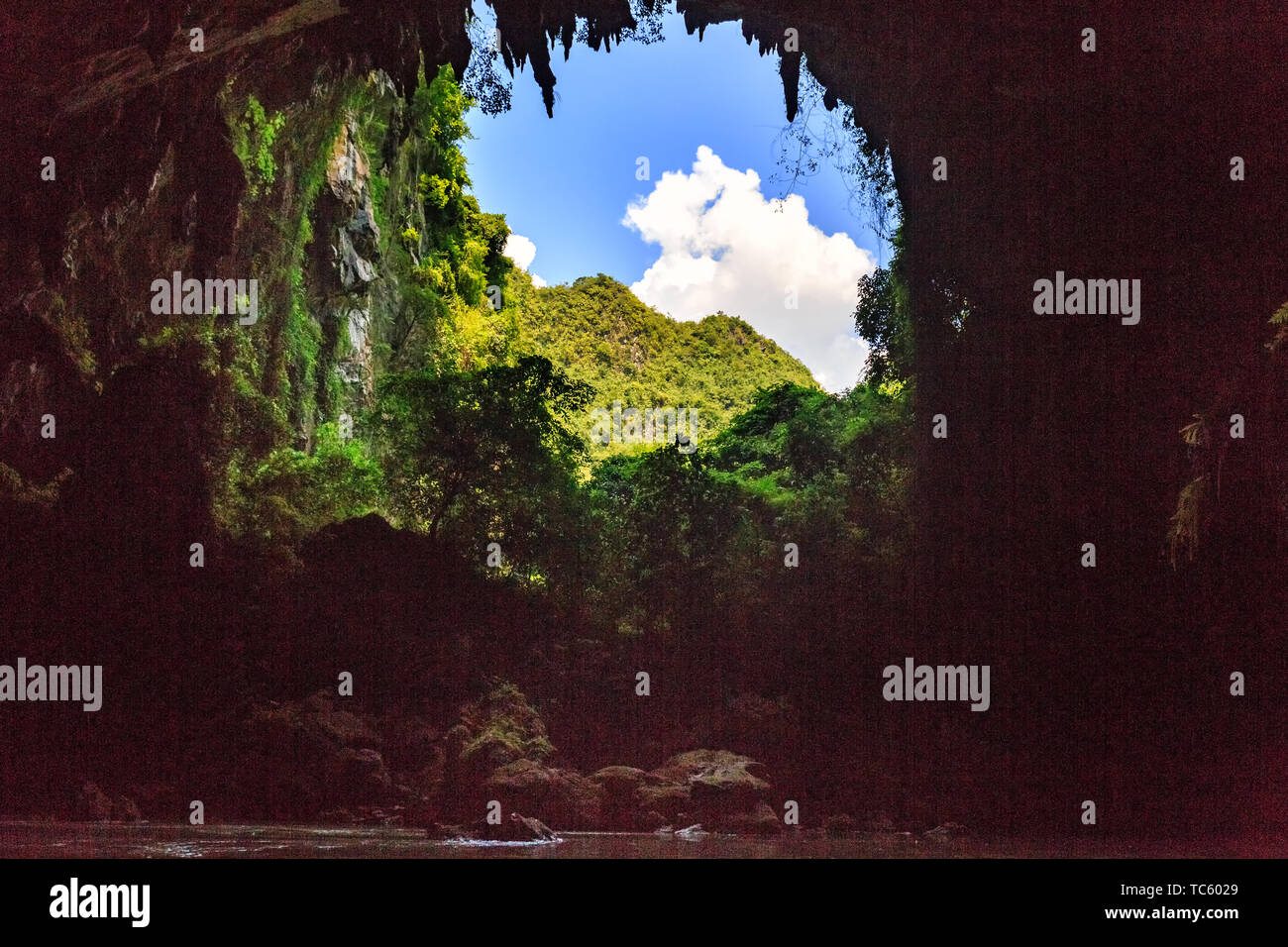 Bama park hi-res stock photography and images - Alamy