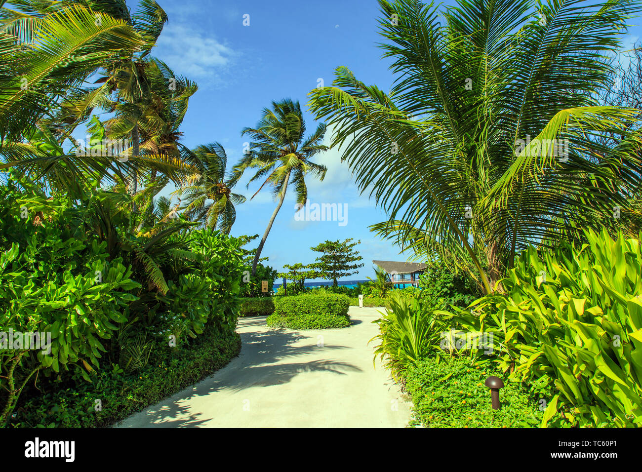 Attractive view of the Maldives Stock Photo - Alamy