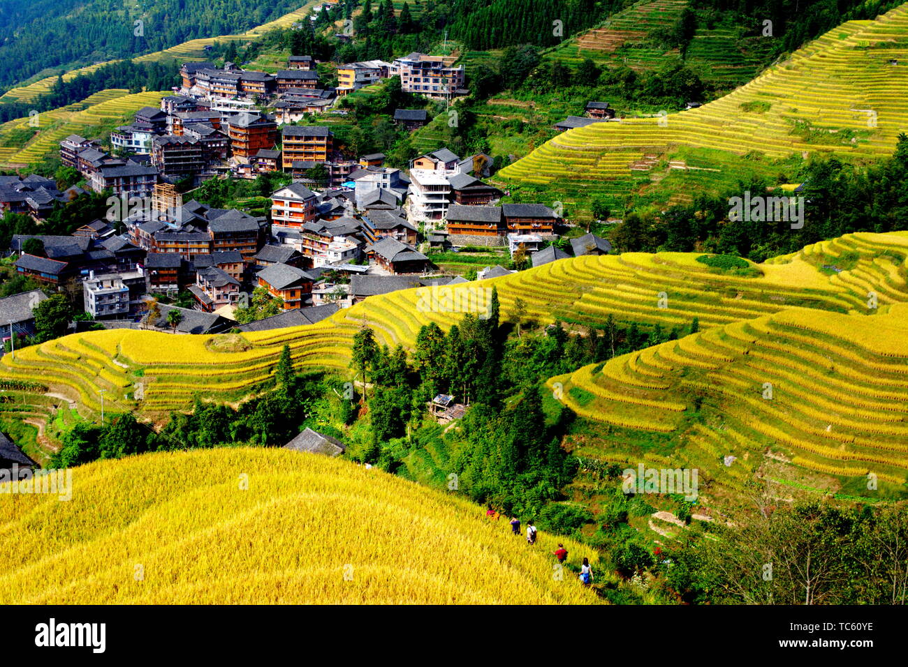 Terraced courtyards hi-res stock photography and images - Alamy