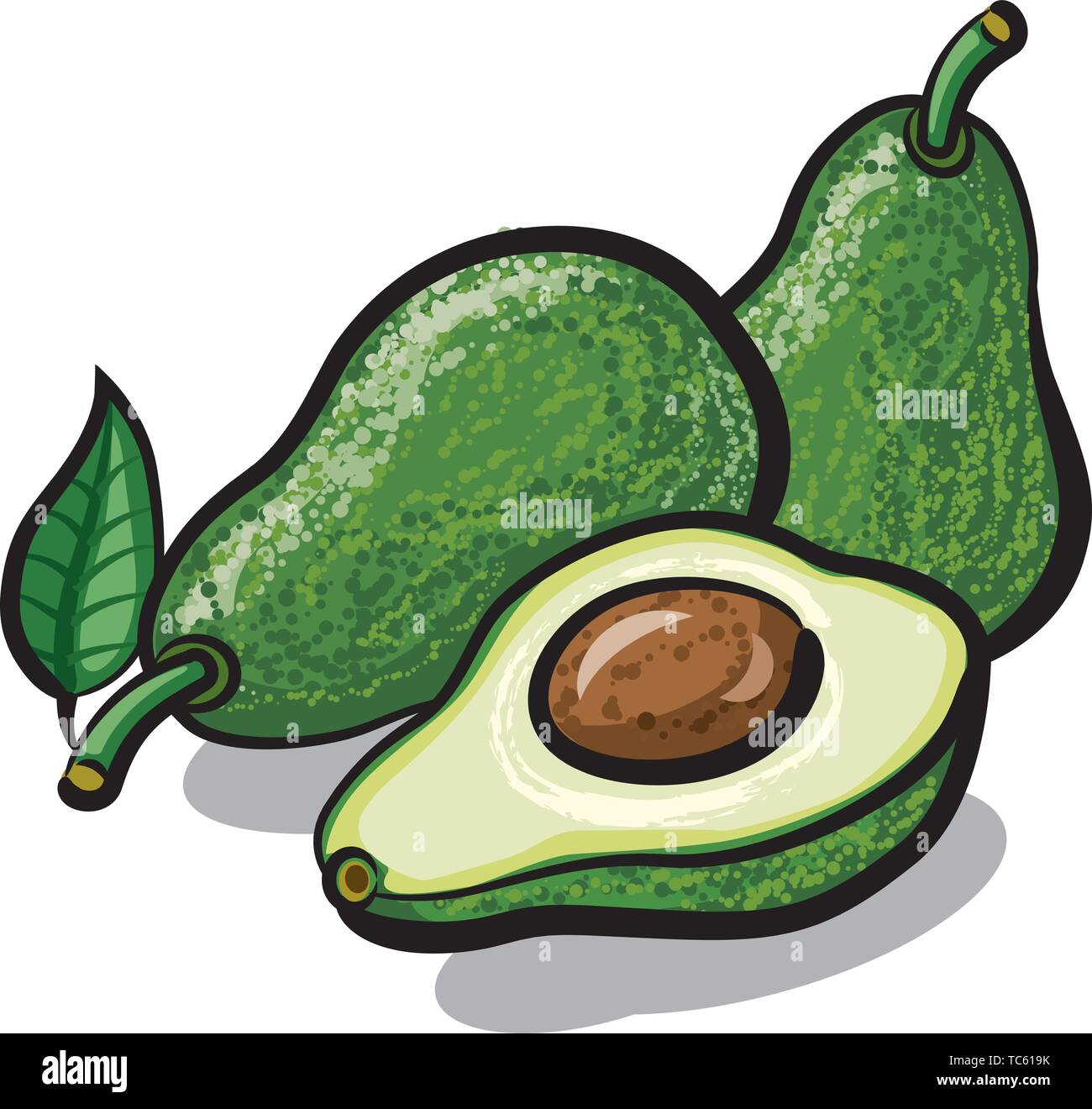 Avocados vector vectors hi-res stock photography and images - Alamy