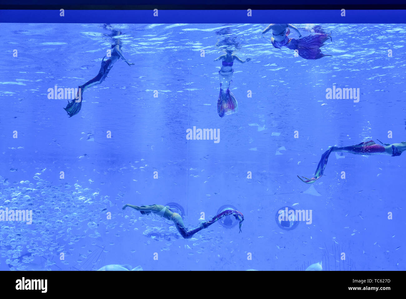 Mermaid performance at Haichang Ocean Park, Shanghai Stock Photo - Alamy