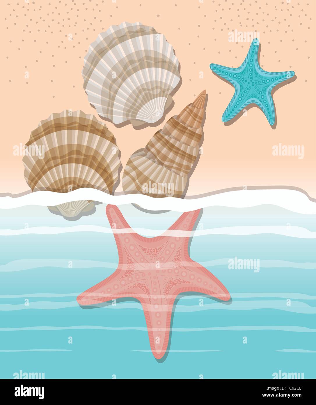 Sand shell texture Stock Vector Images - Alamy