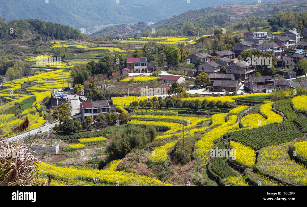 Ninghai hi-res stock photography and images - Alamy