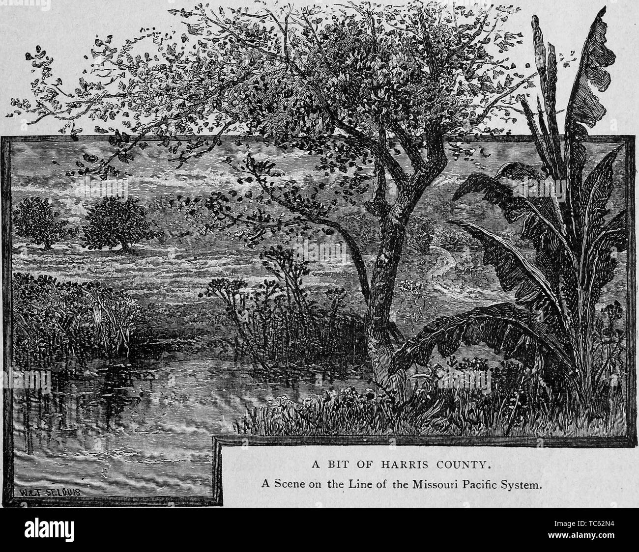 Houston texas 1890 hi-res stock photography and images - Alamy
