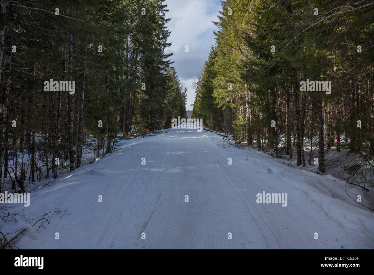 Road material for Oregon, United States Stock Photo - Alamy