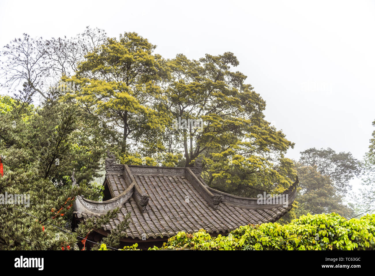 The scenery of Jinyun Temple in Jinyun Mountain, Chongqing Stock Photo ...