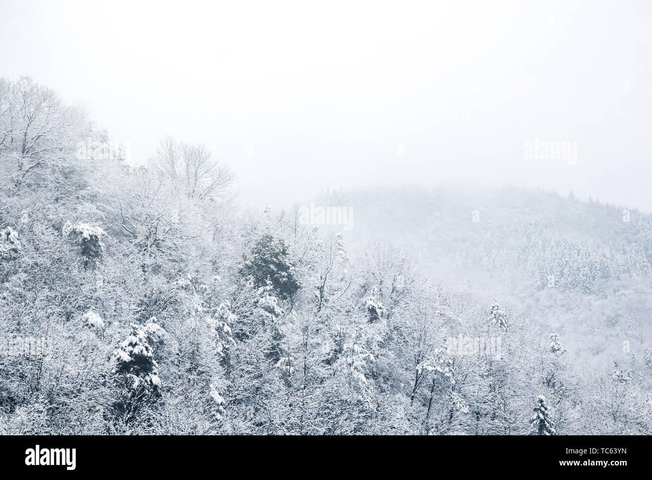 Heavy snow mountains hi-res stock photography and images - Alamy