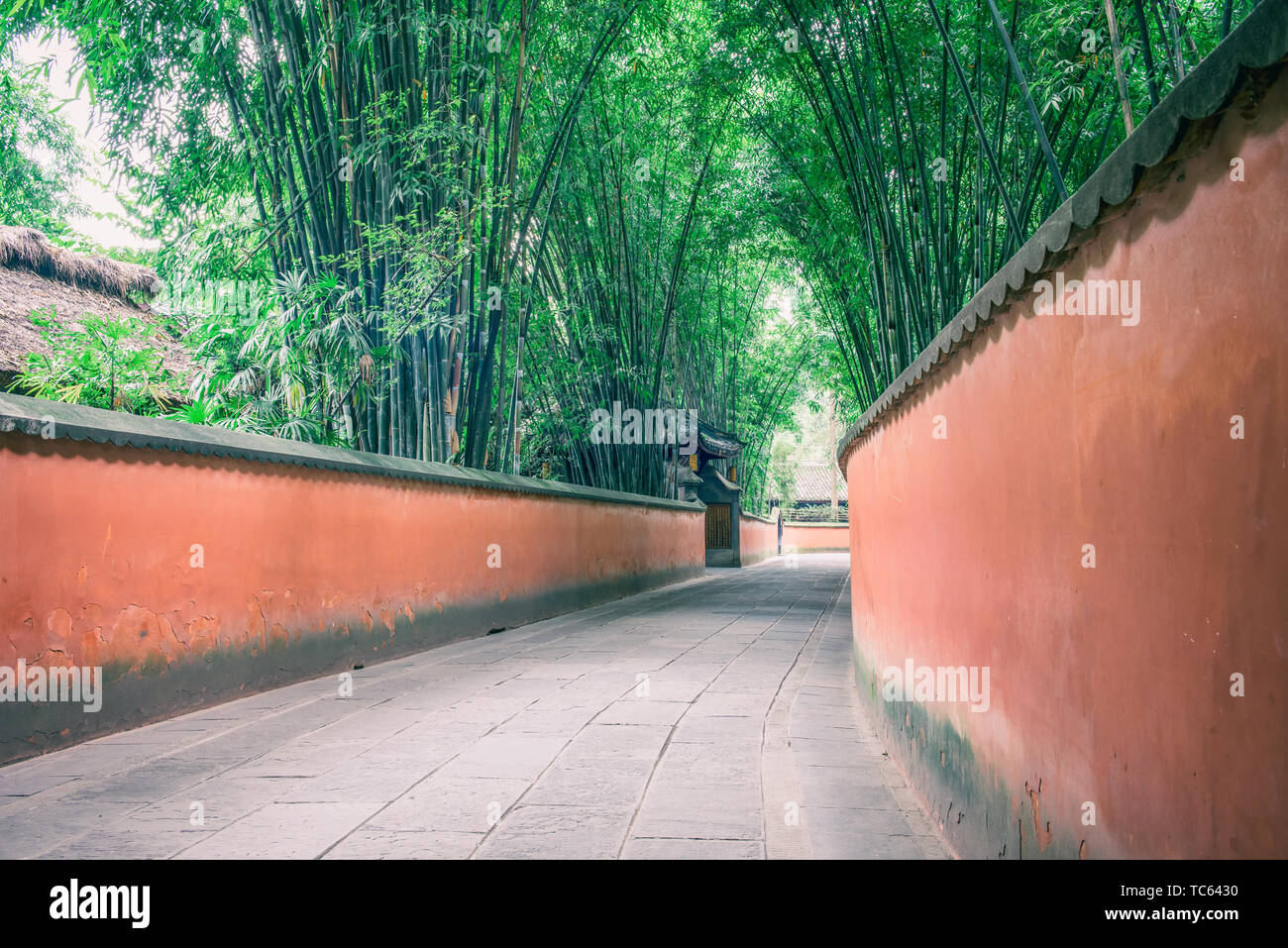 Red bamboo red wall hi-res stock photography and images - Alamy