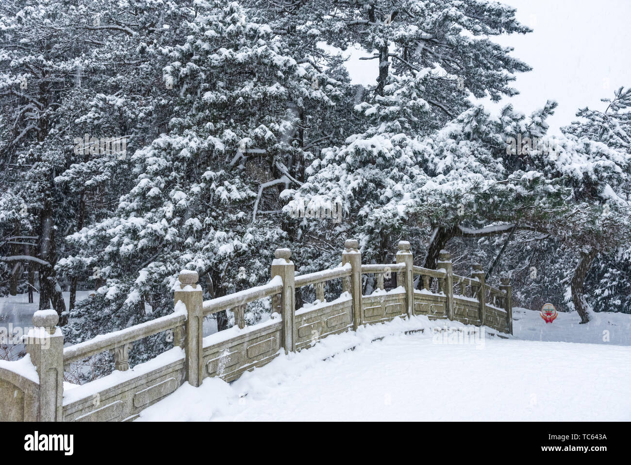 Lulin lake hi-res stock photography and images - Alamy