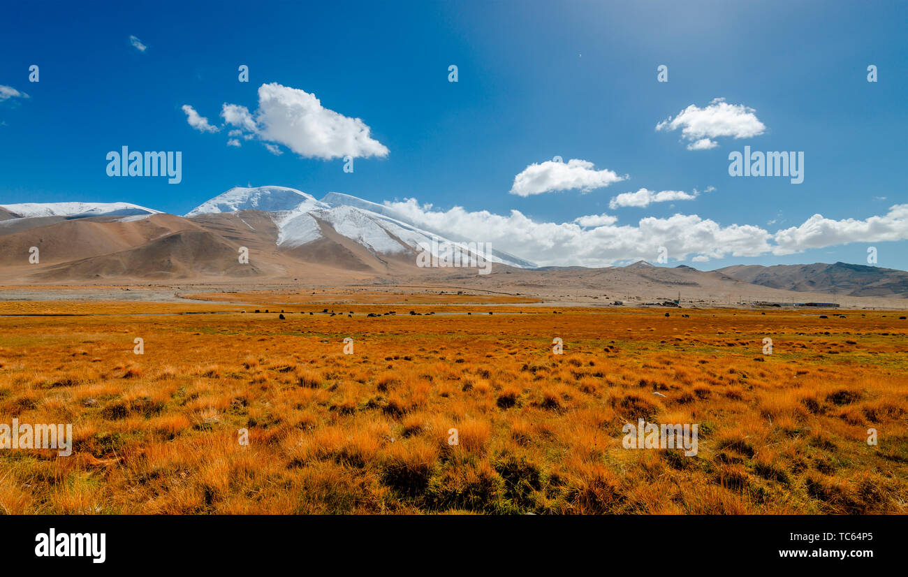 Golden plateau dry grass hi-res stock photography and images - Alamy