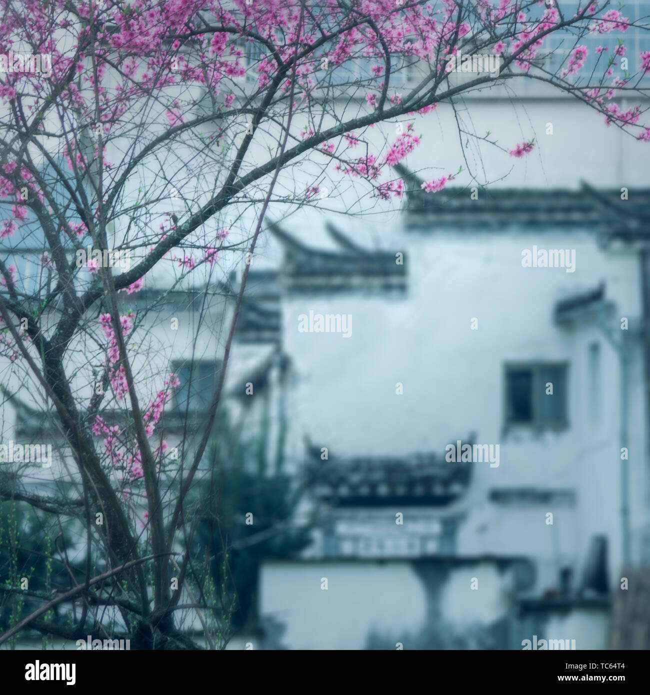 Damei hi-res stock photography and images - Alamy