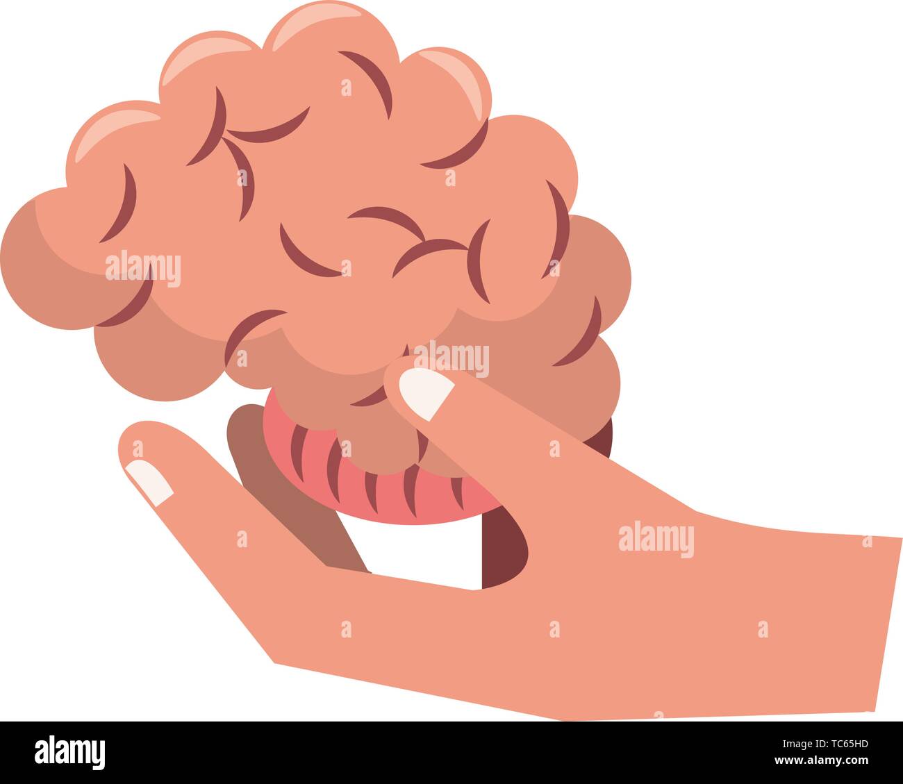 Organ practical Stock Vector Images - Alamy