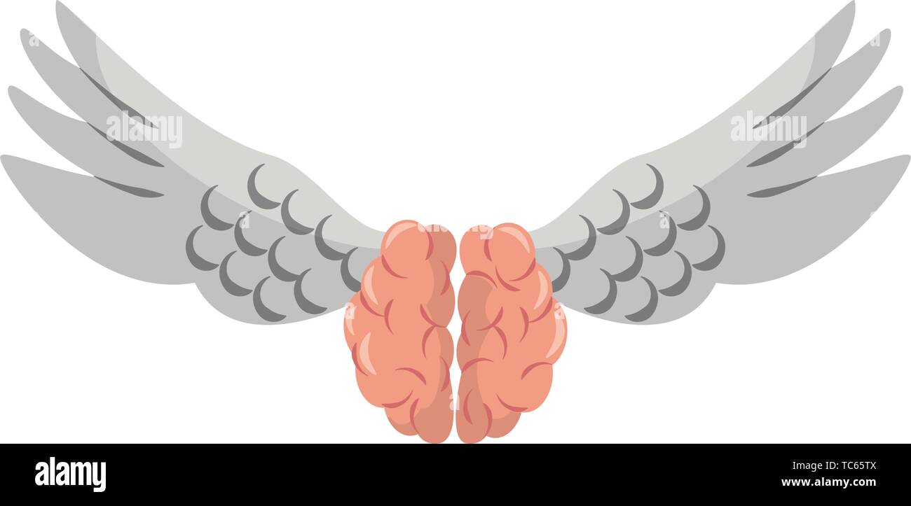 Brain with wings isolated symbol Stock Vector Image & Art - Alamy