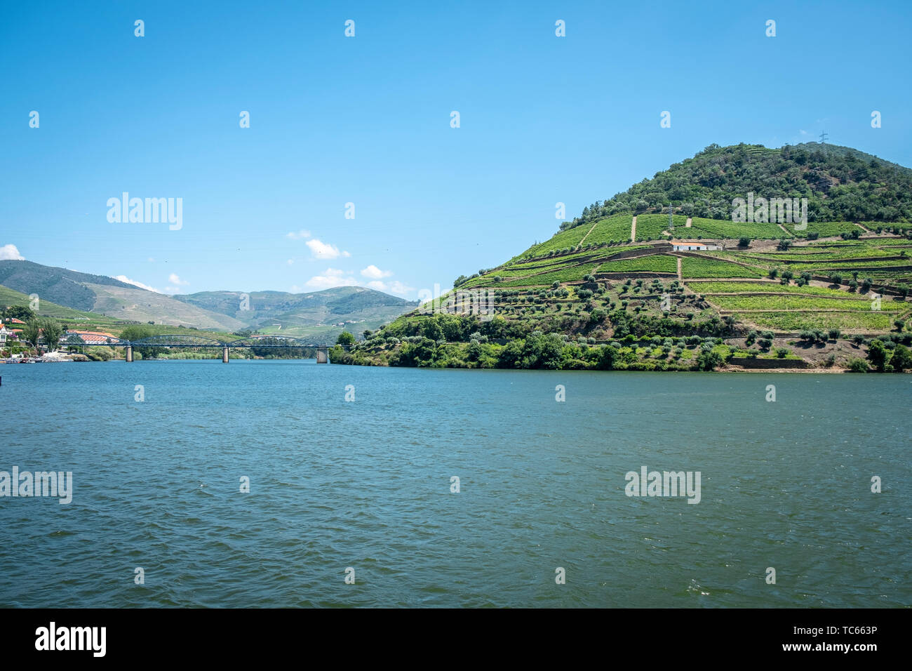 Douro Valley. Vineyards and landscape, Portugal Stock Photo - Alamy