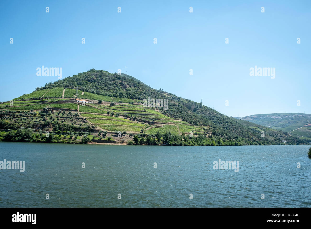 Douro Valley. Vineyards and landscape, Portugal Stock Photo - Alamy