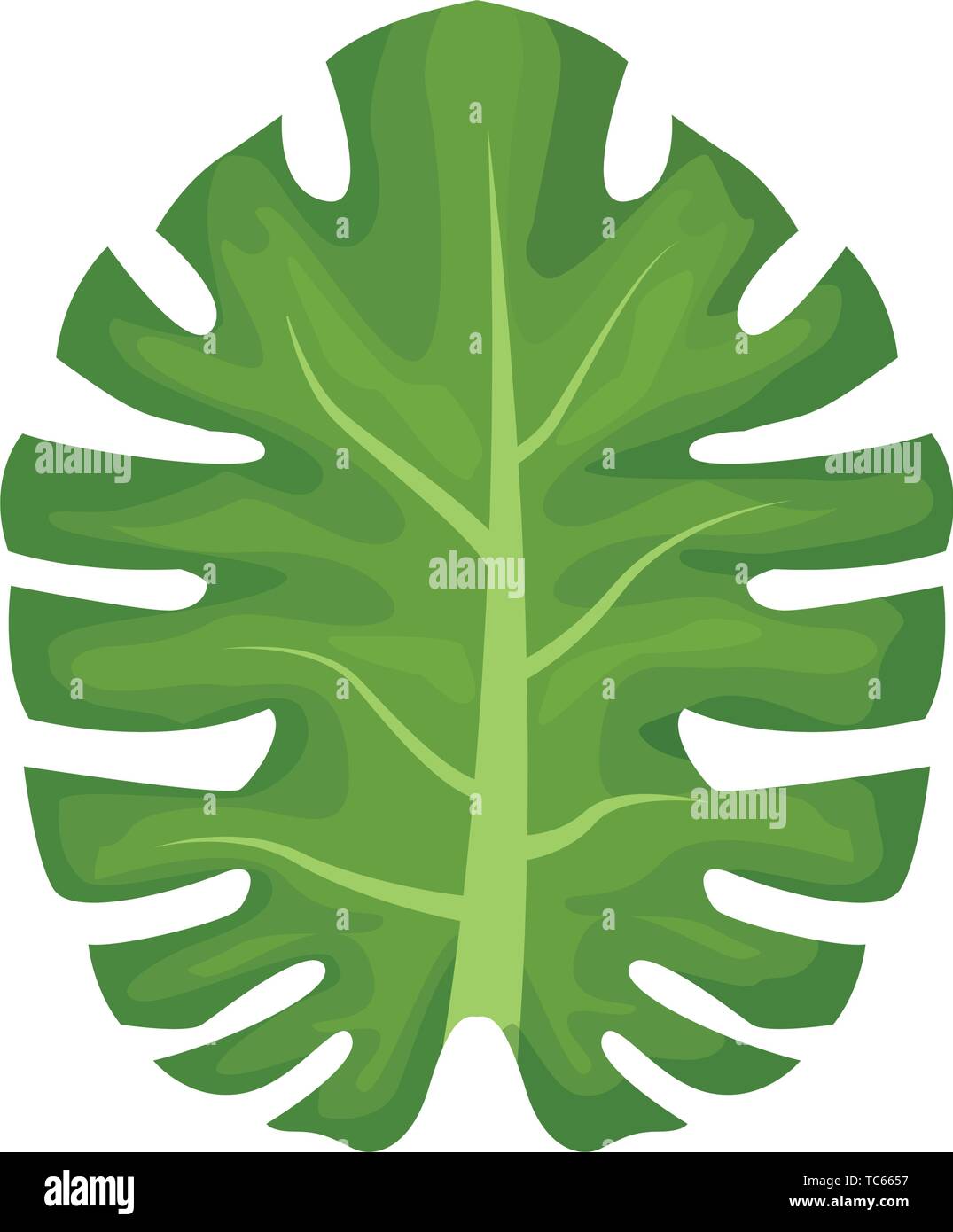 leaf icon cartoon isolated Stock Vector Image & Art - Alamy