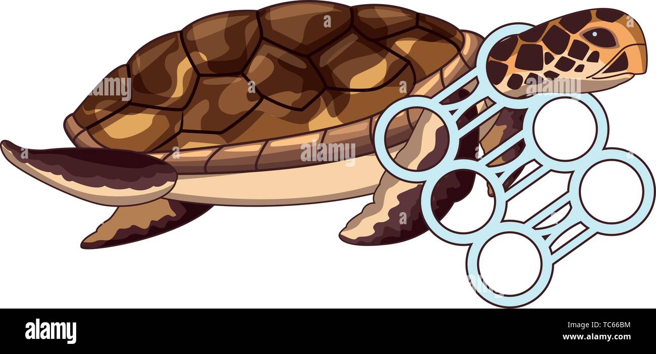 brown sea turtle icon cartoon Stock Vector Image & Art - Alamy