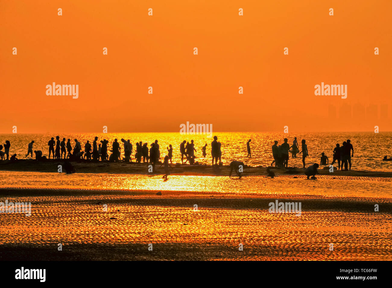 Fishing back, Yantai golden beach sunset set set fishing back Stock ...