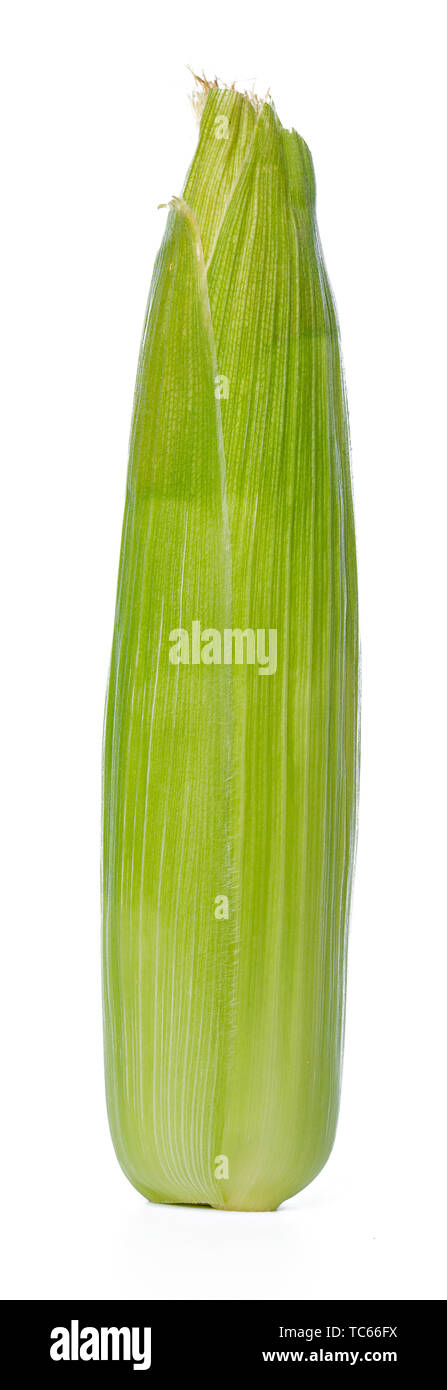 corn isolated on white background Stock Photo - Alamy