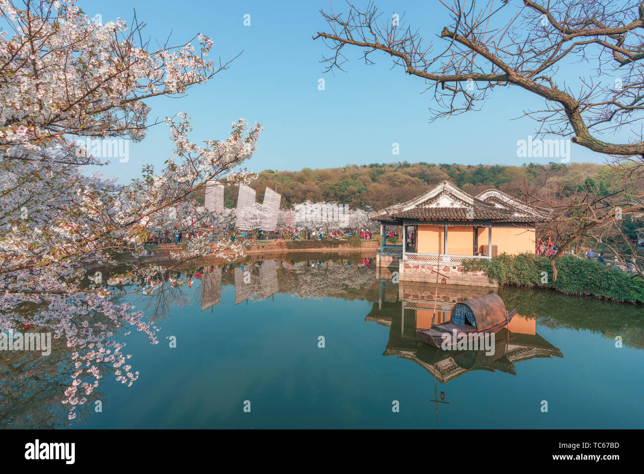 Taihu lake stone hi-res stock photography and images - Alamy