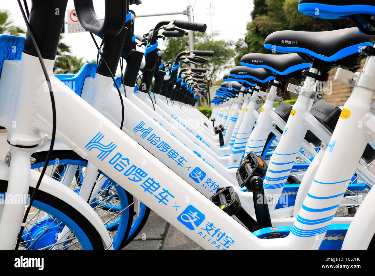 Hello bike. Hello bike Stock Photo - Alamy