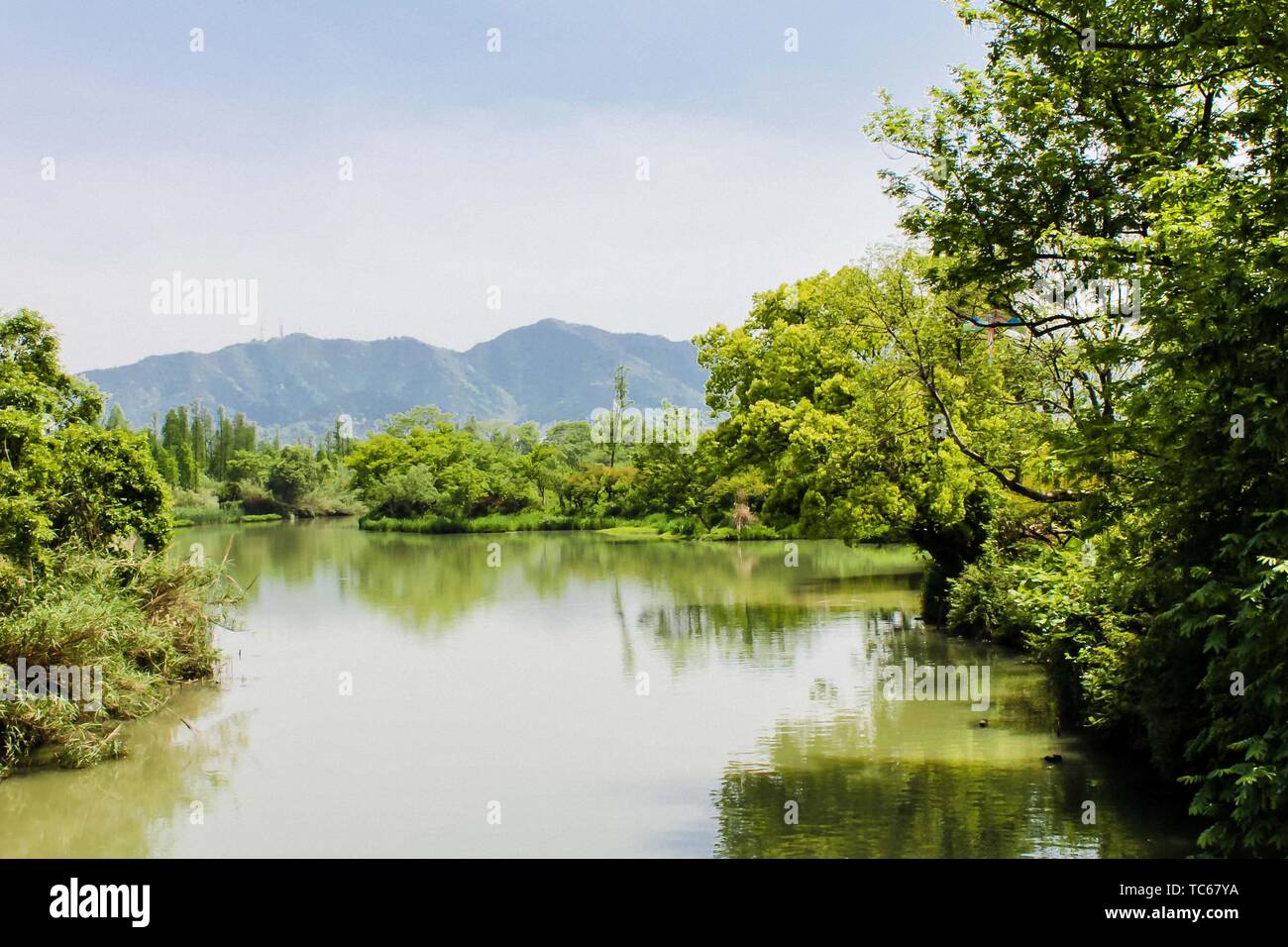 Scenery of Xixi Wetland Park in Hangzhou Stock Photo - Alamy