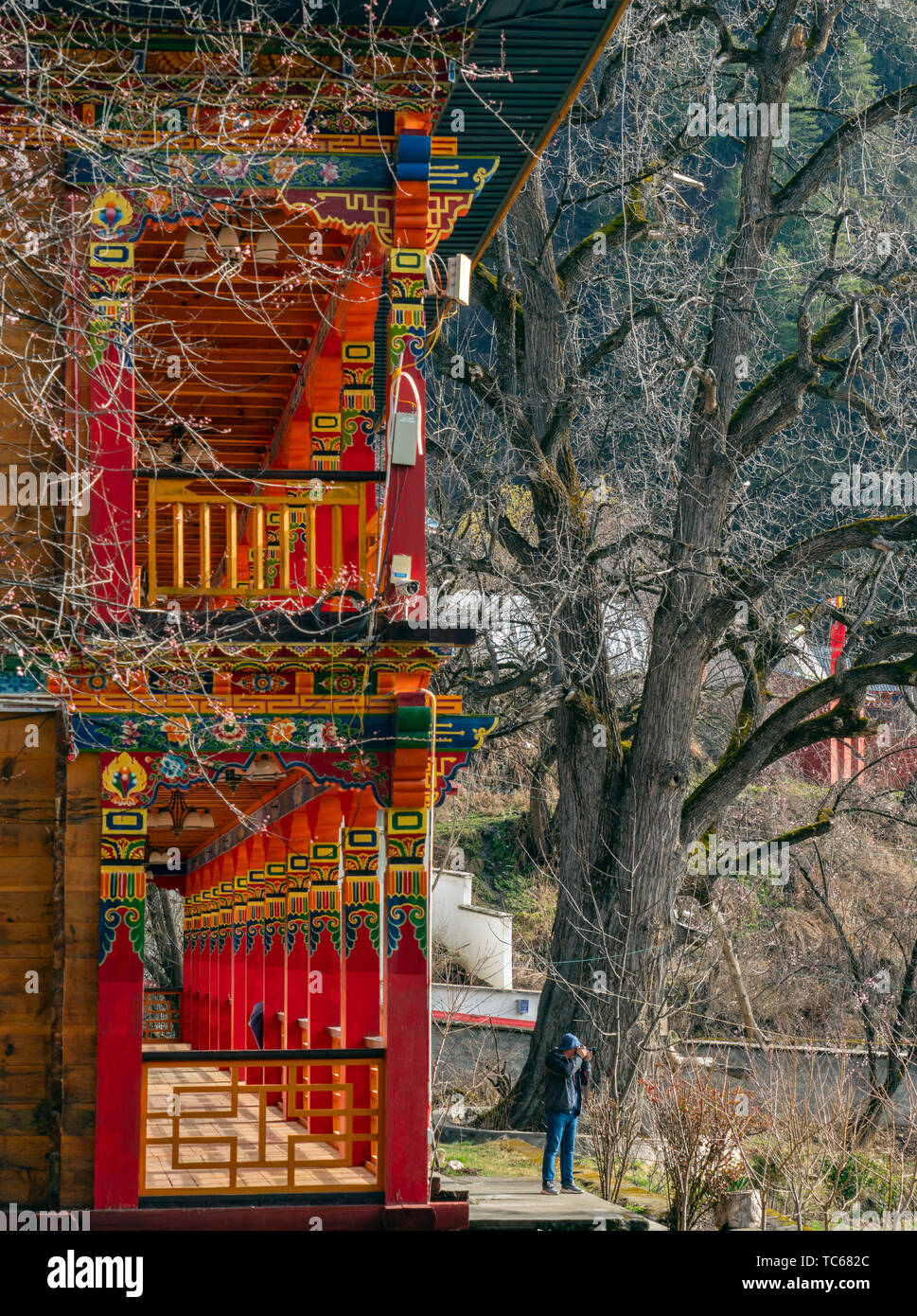 Renqing hi-res stock photography and images - Alamy