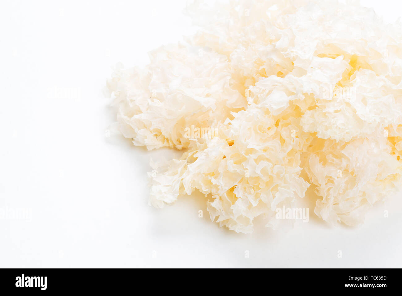 Silver Ear Fungus Tremella Fuciformis High Resolution Stock Photography ...