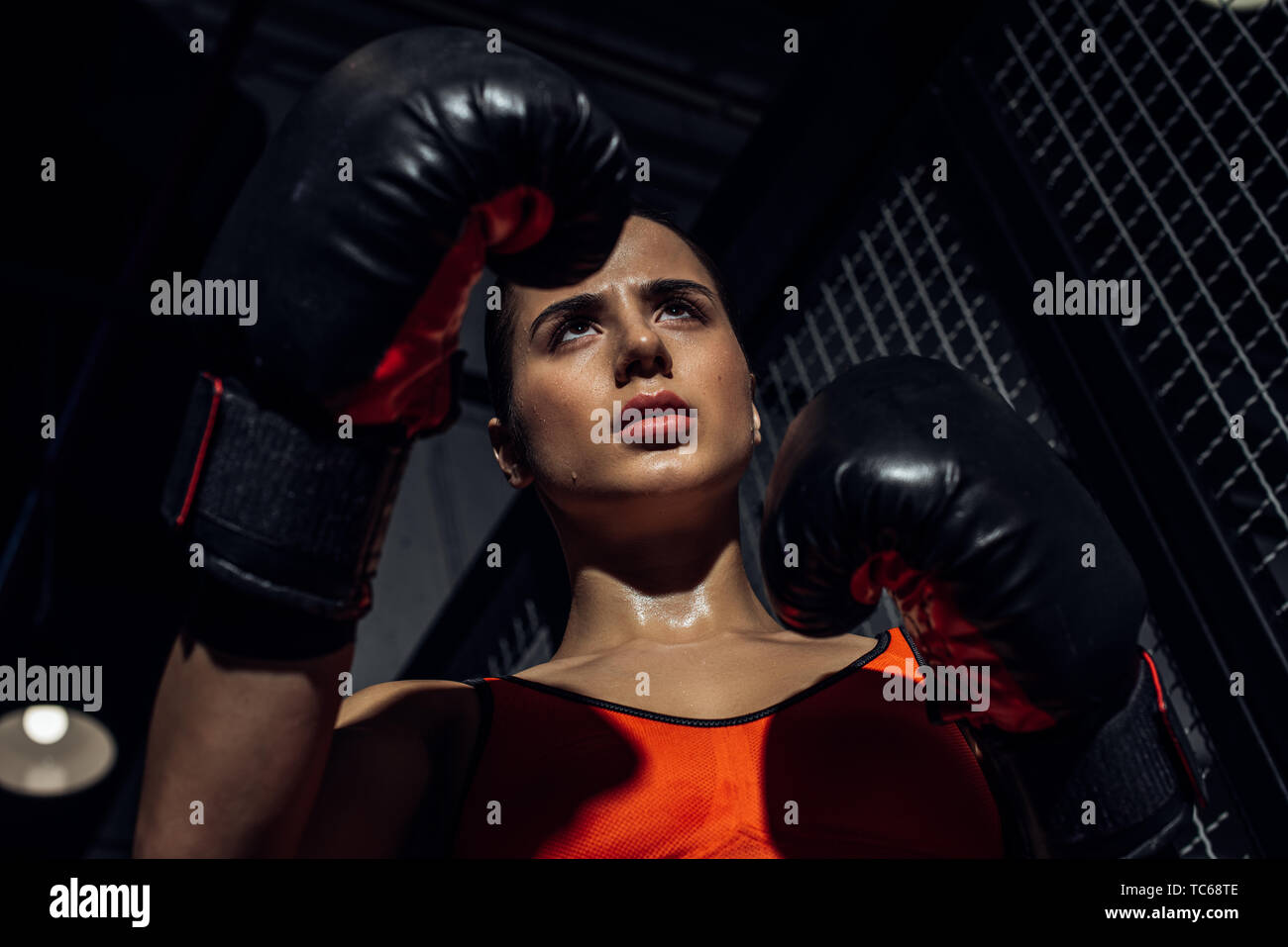 Low angle view of boxer in boxing gloves looking away Stock Photo - Alamy