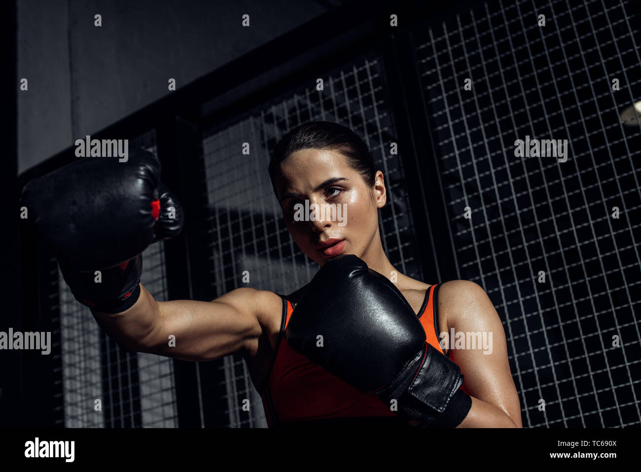 Concentrated boxer in black boxing gloves training and looking away ...