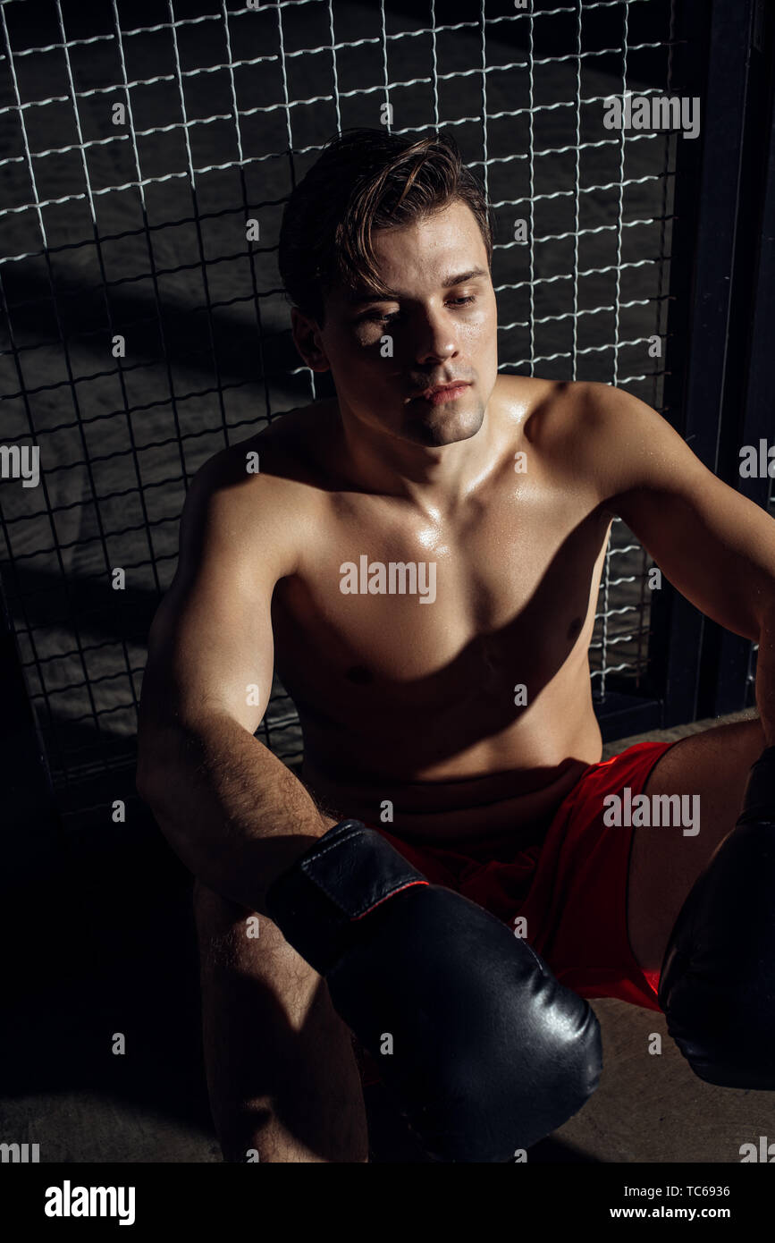 High angle view of tired boxer in black gloves sitting on floor Stock ...