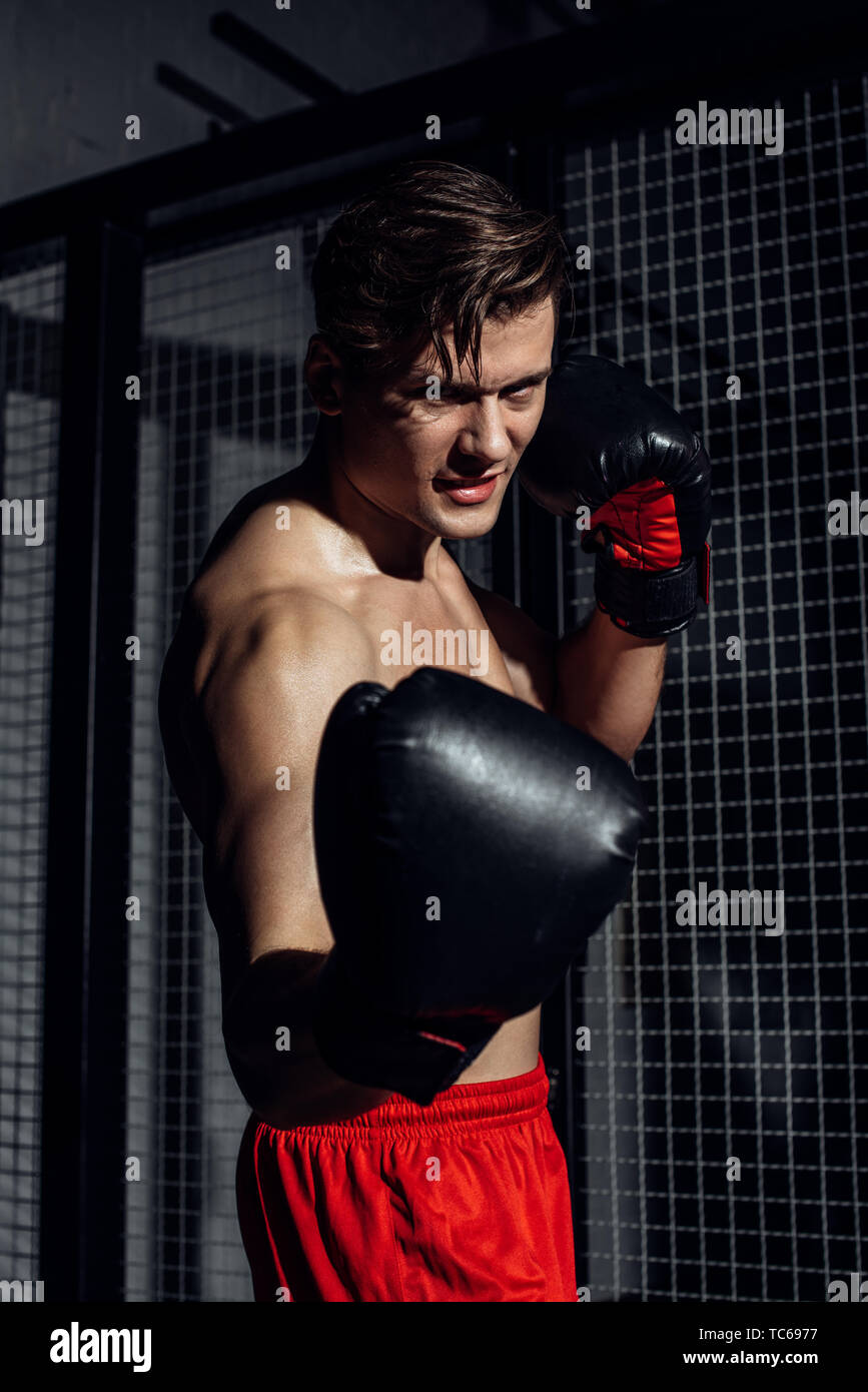 Handsome boxer in black boxing gloves training with smile Stock Photo ...