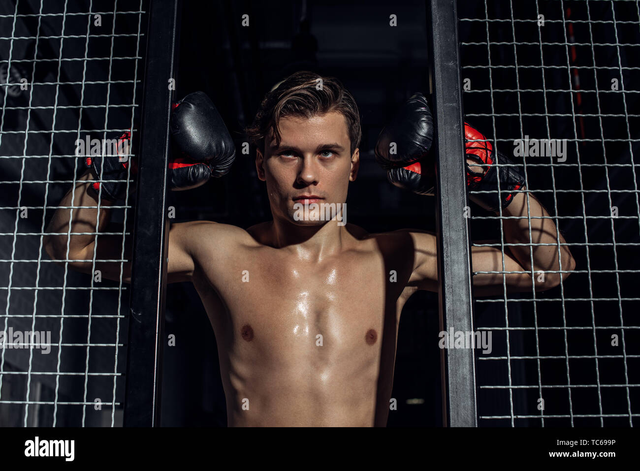 Handsome muscular boxer in boxing gloves standing near wire netting and ...