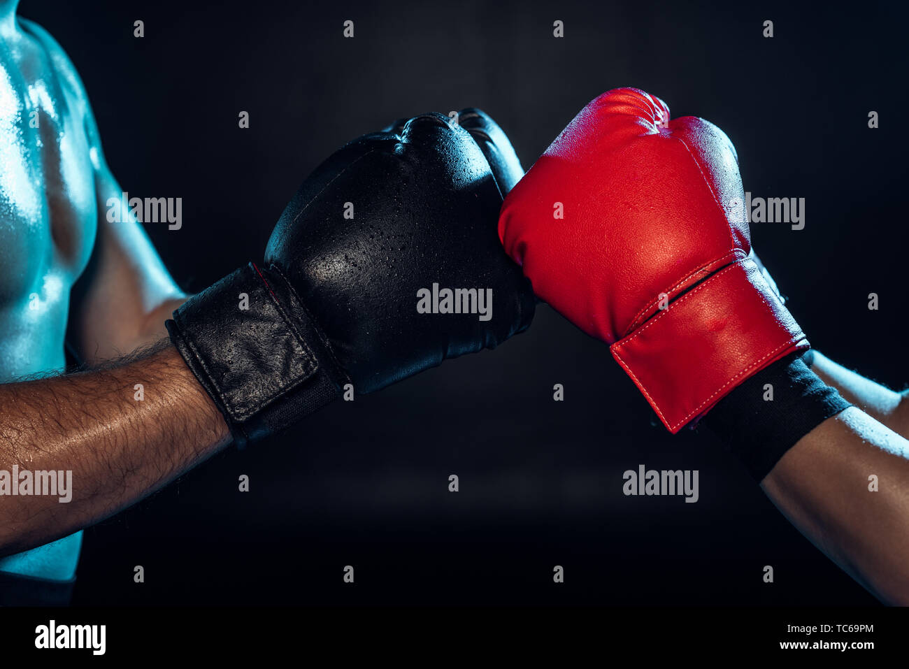 Partial view of two boxers in boxing gloves touching hands on black ...