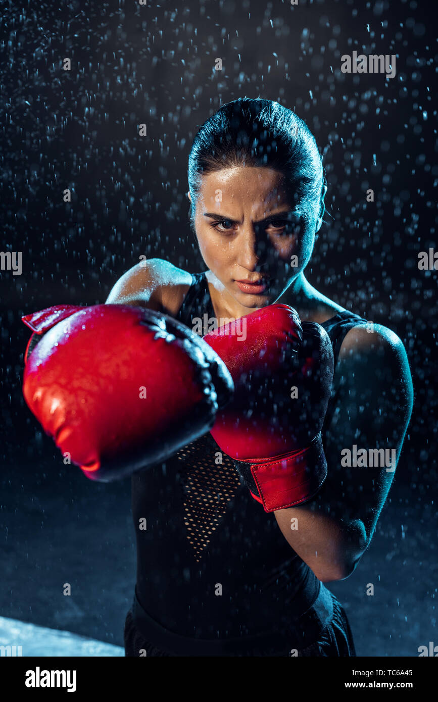 Concentrated boxer in red boxing gloves standing under water drops on ...