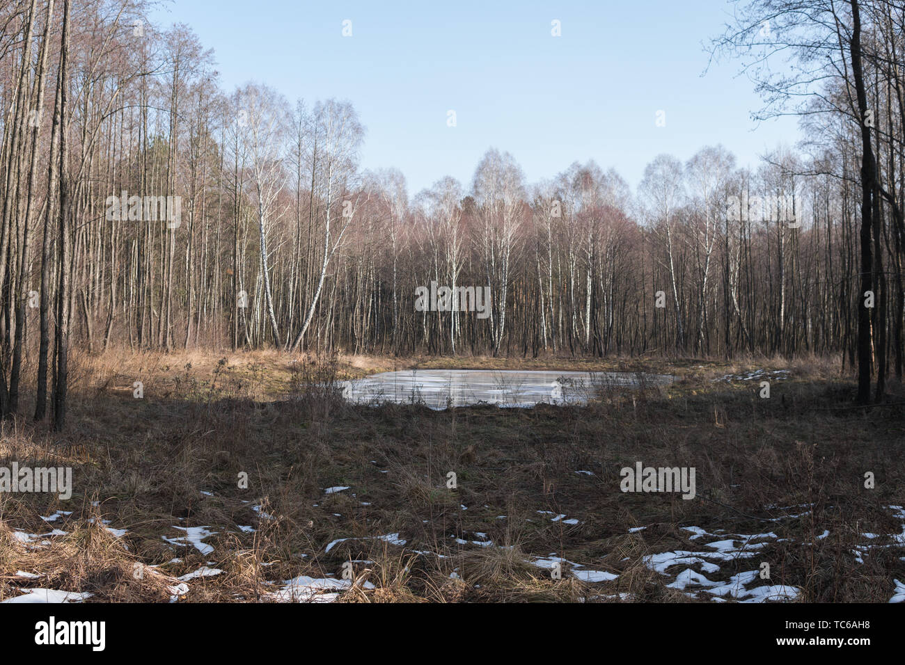 Polesie hi-res stock photography and images - Alamy