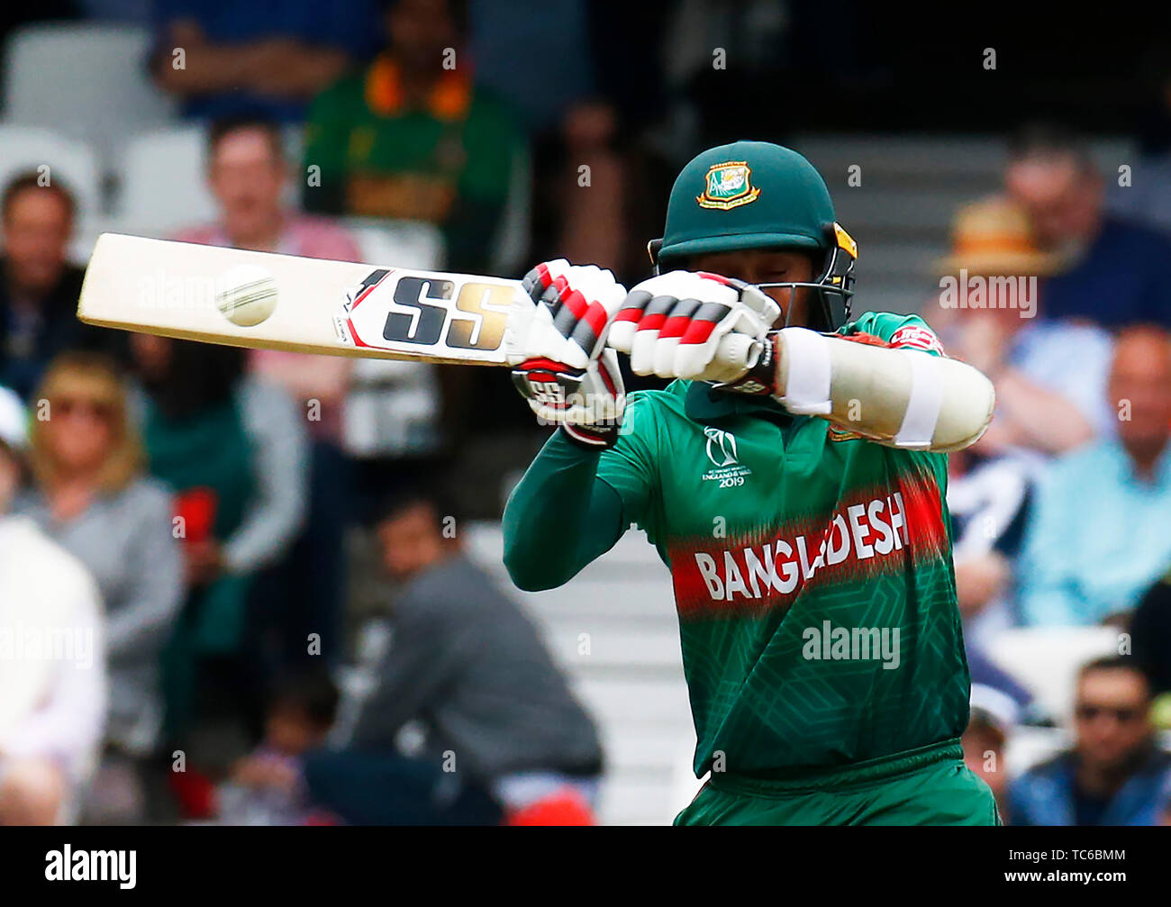 Mithun hi-res stock photography and images - Alamy