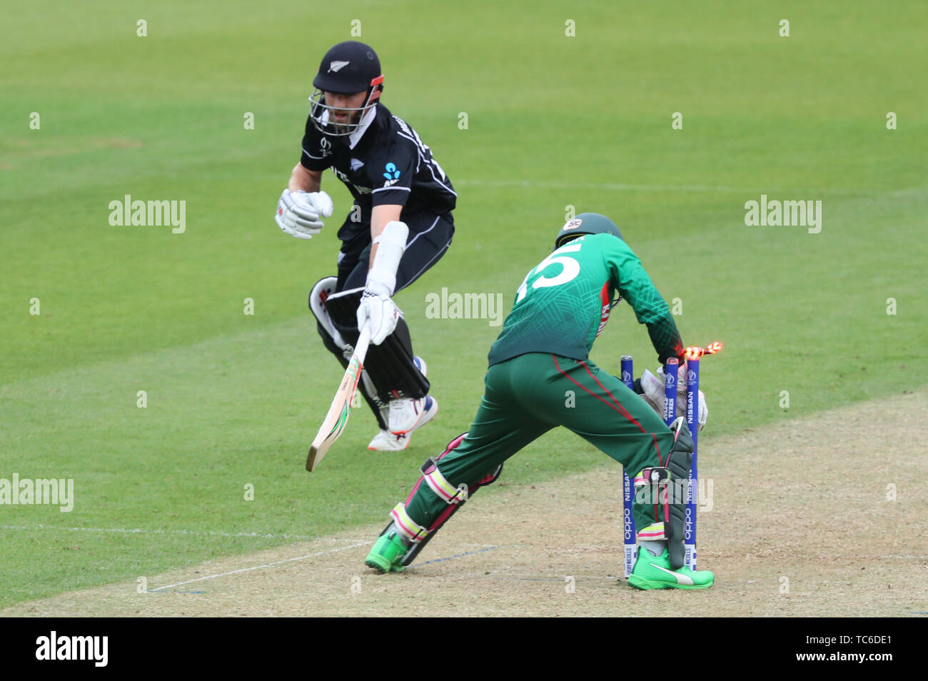Cricket fielder catching ball hi-res stock photography and images - Alamy