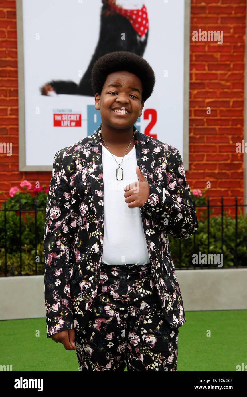 Los Angeles, CA, USA. 2nd June, 2019. Keith L Williams at arrivals for ...