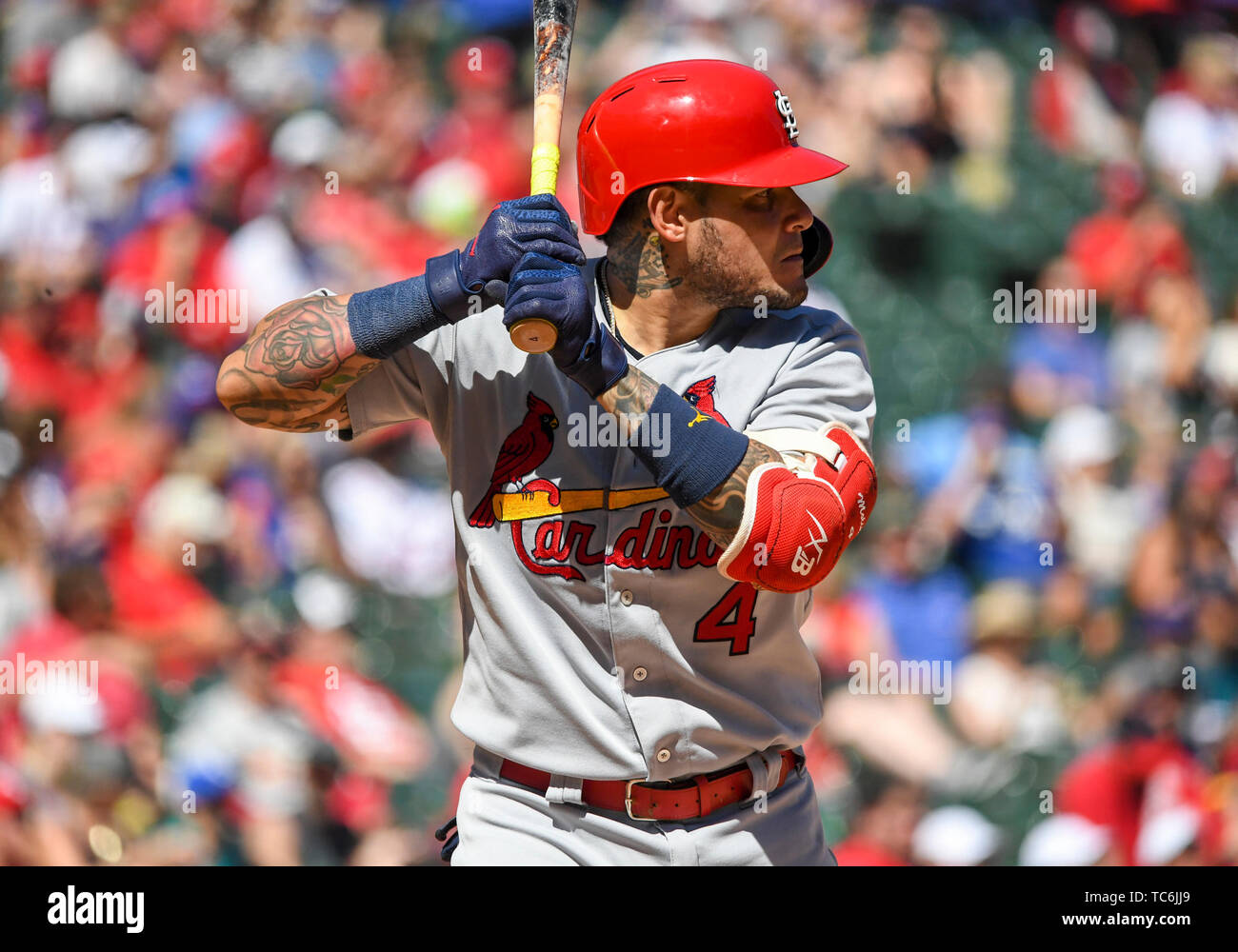 Yadier molina hi-res stock photography and images - Alamy