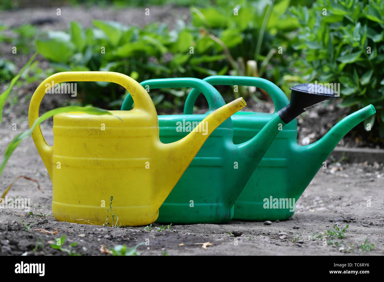 Types of watering cans hi-res stock photography and images - Alamy