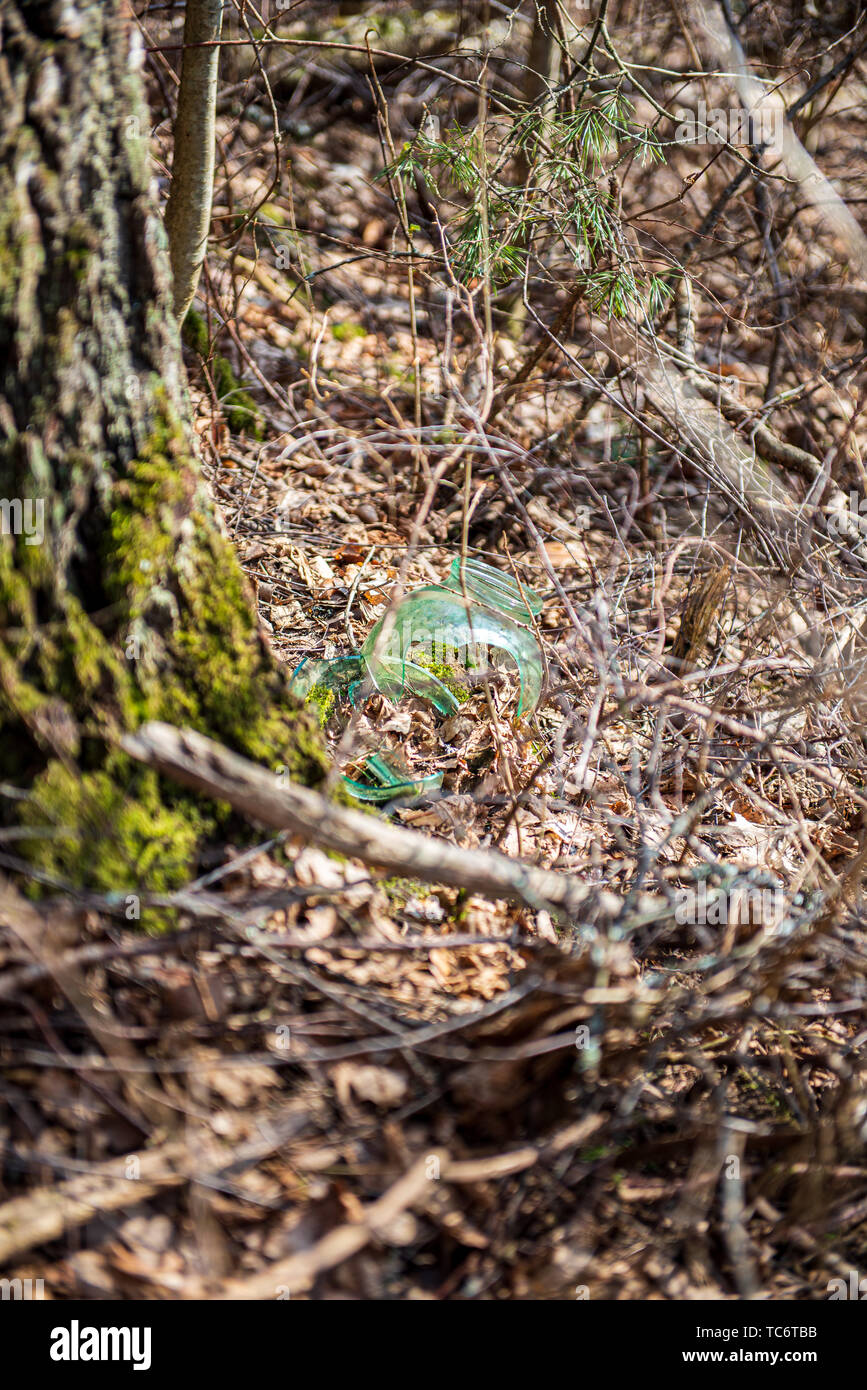 dry old tree trunk stomp in nature, forest scene with foliage and log ...