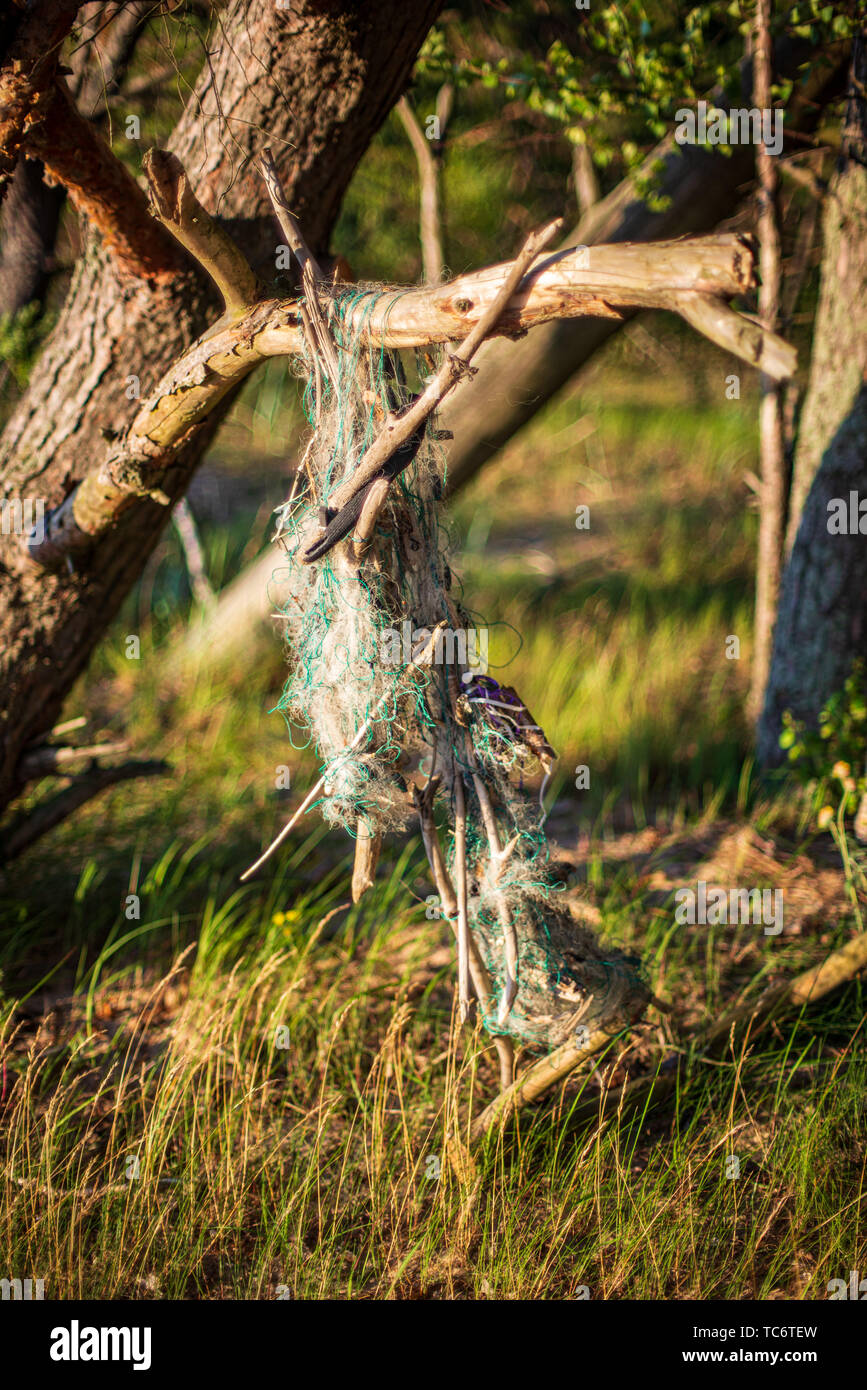 dry old tree trunk stomp in nature, forest scene with foliage and log ...