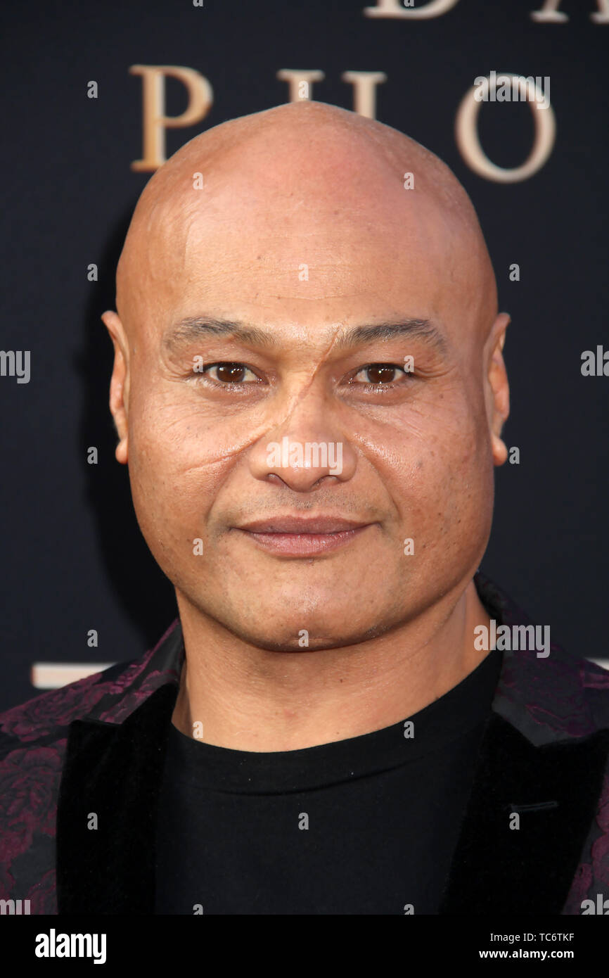 Andrew Stehlin 06/04/2019 "Dark Phoenix" Premiere held at the TCL ...