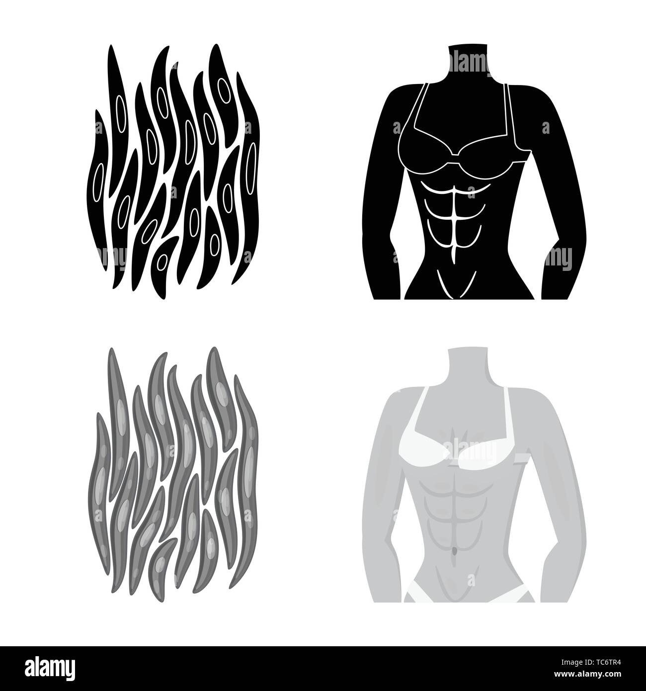 Vector design of fiber and muscular icon. Collection of fiber and body ...