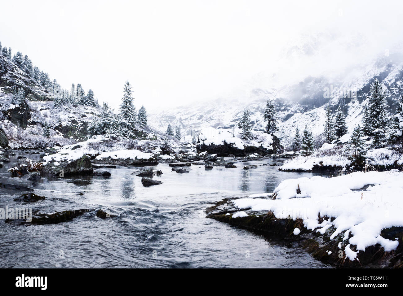 Frozen mountain river with snow covered pines. Winter in mountains Stock Photo - Alamy